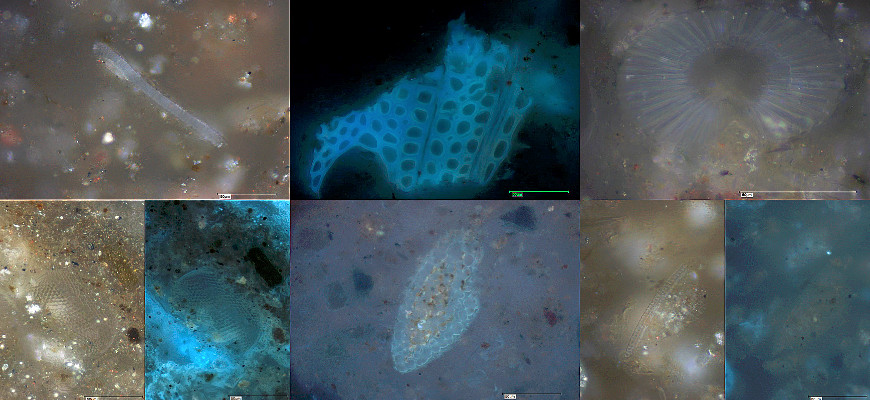 deep sea investigations - SDU