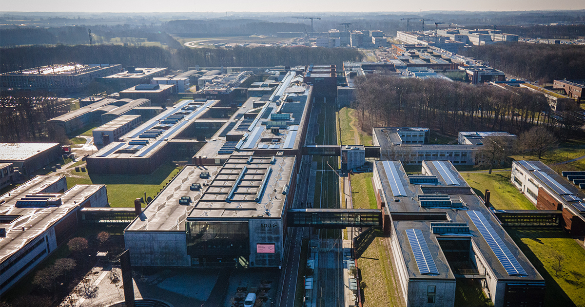 Four SDU researchers among the most cited