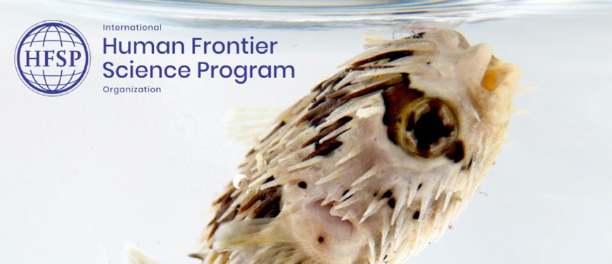 Integrative-neuromechanics