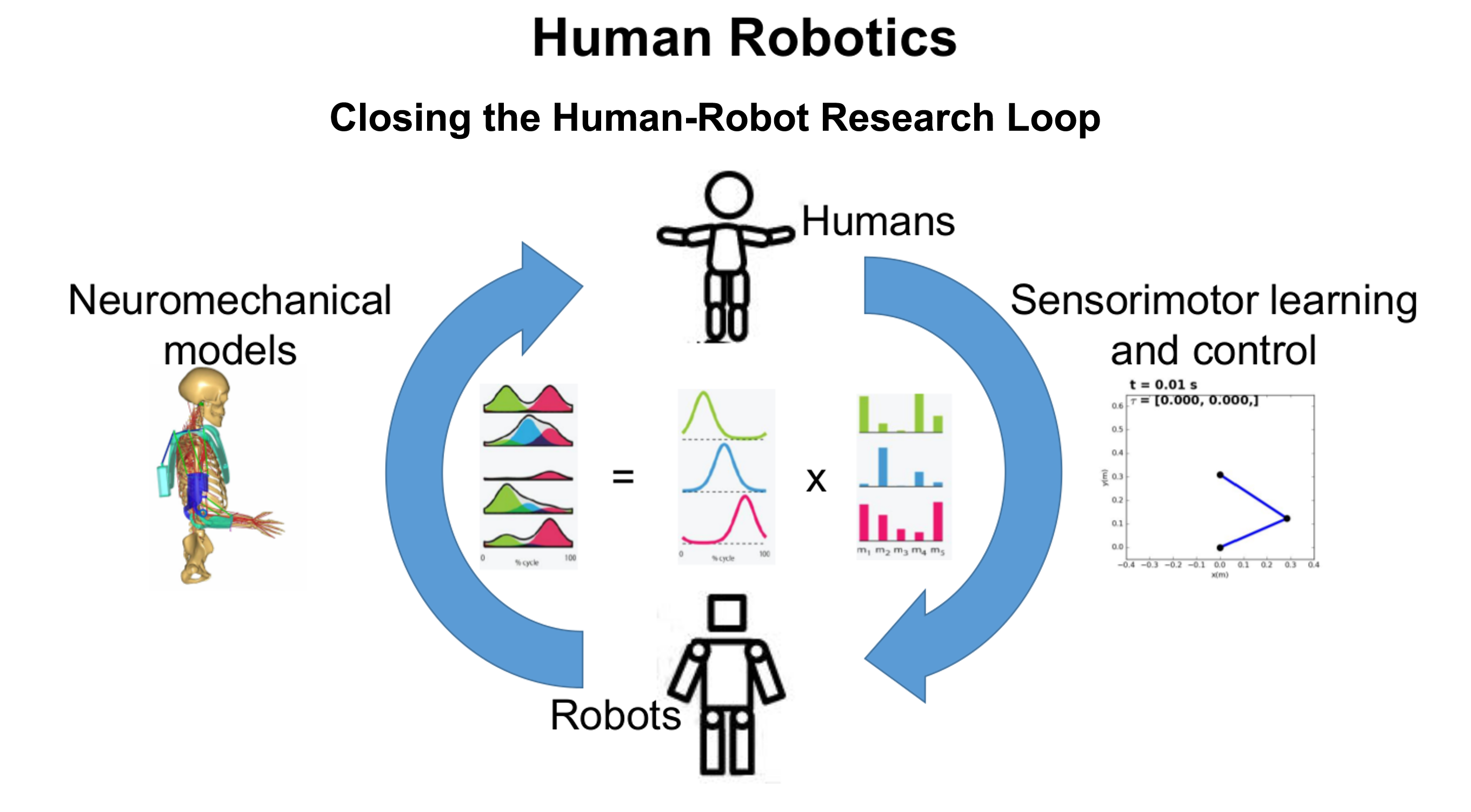 Human Robotics