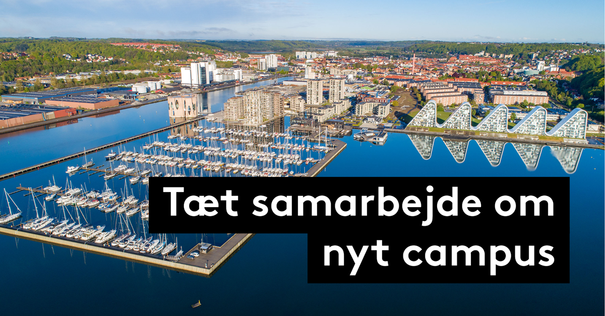 SDU og Vejle Kommune i tæt samarbejde om campus - SDU