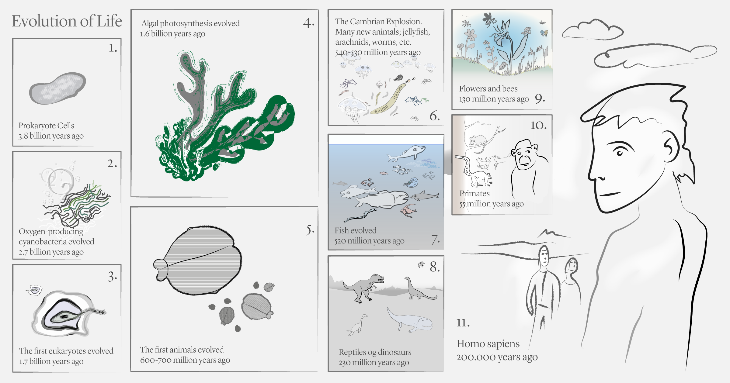 When was the first time life began to predate on each other?