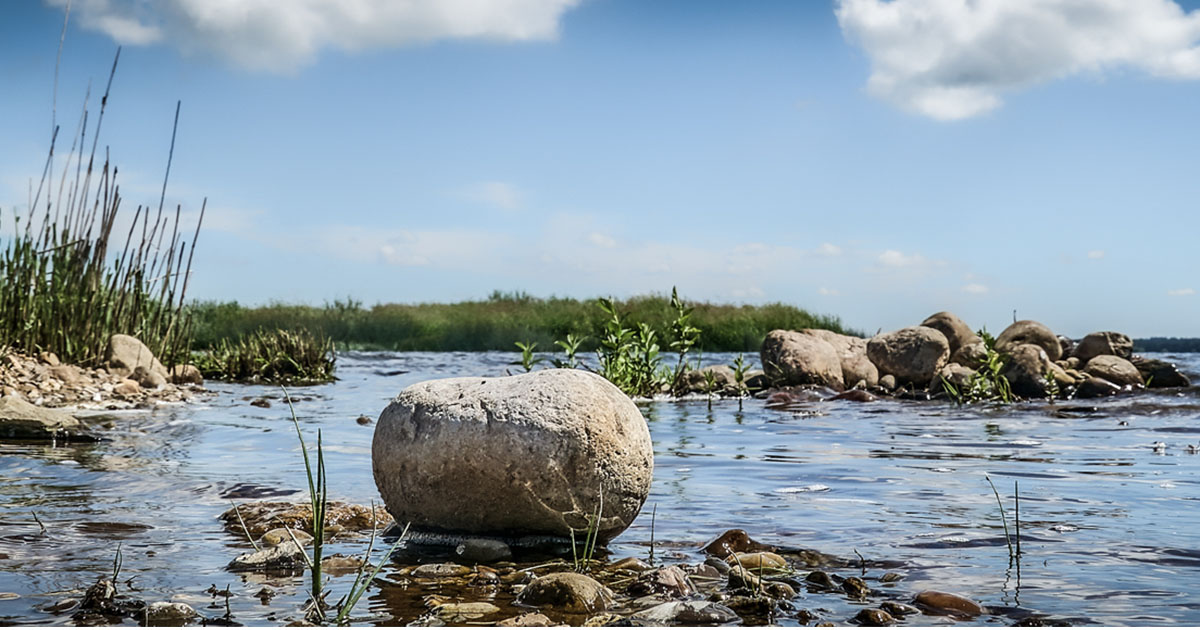 Nye, sunde søer i Danmarks natur - SDU