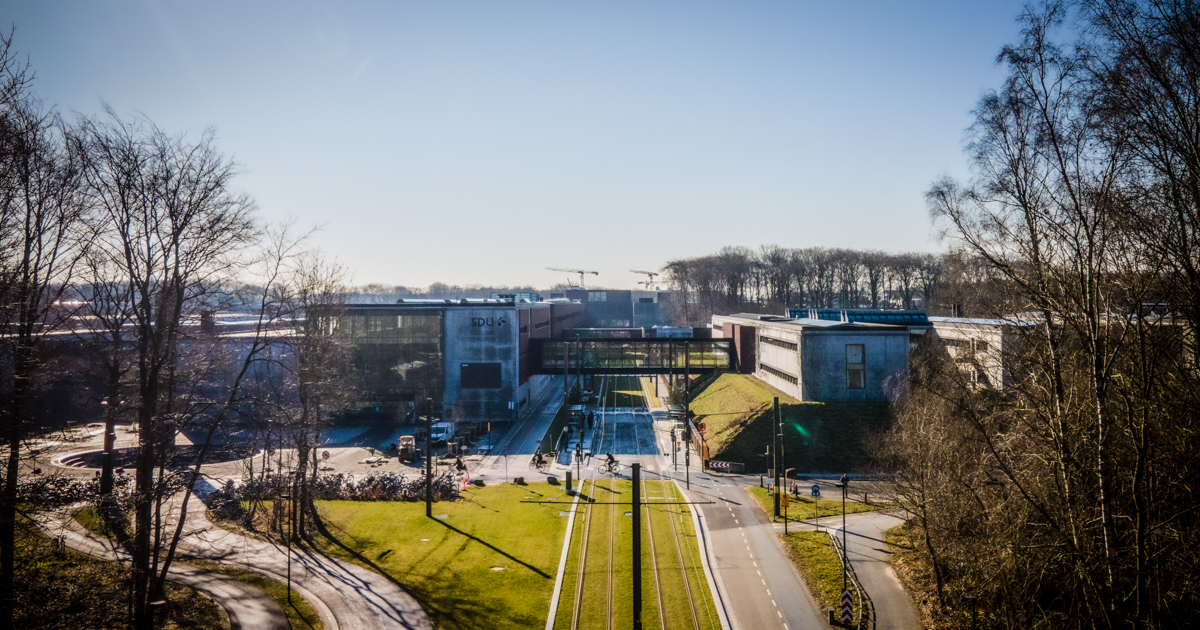 10 SDU researchers among 2023's most cited - SDU
