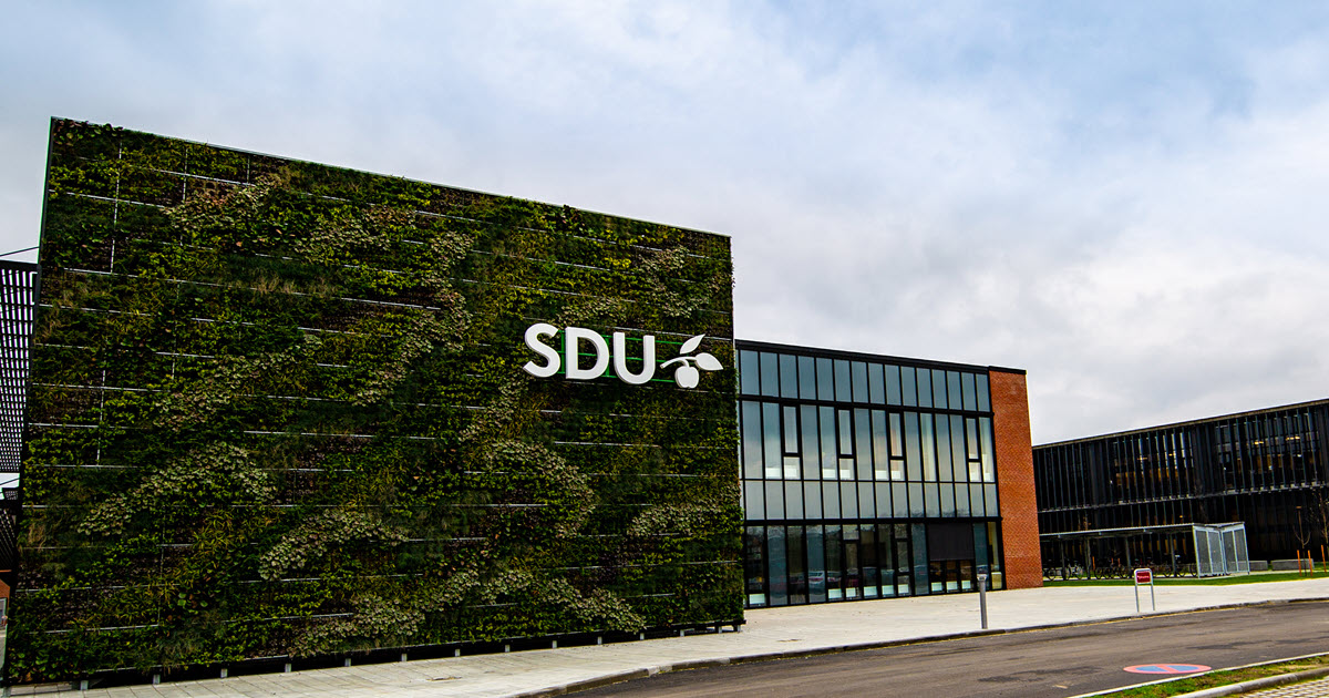Psykologi på vestjysk: SDU og Education Esbjerg i banebrydende ...