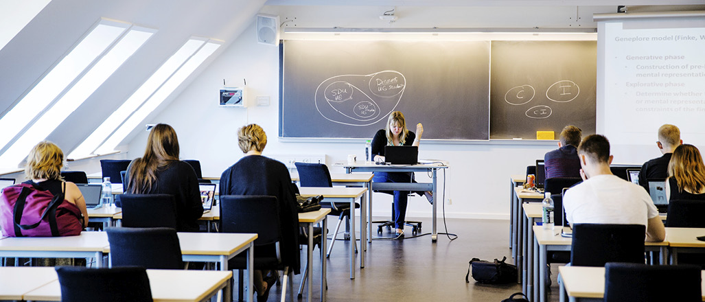 Neuro-organisational cognition - SDU