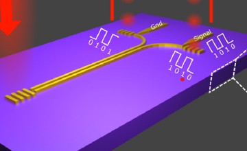 SDU Nano Optics
