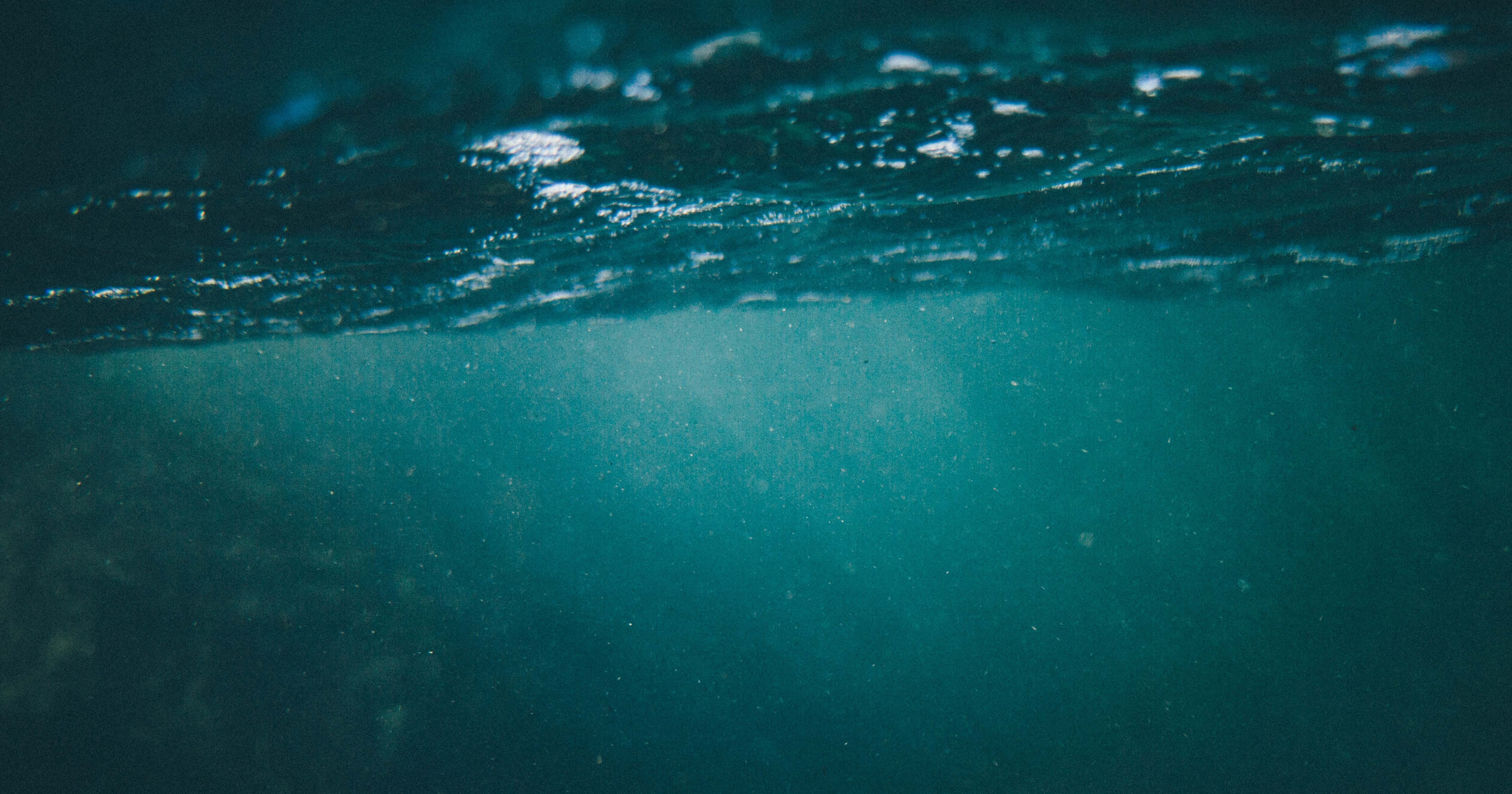 New study: Deep-sea pressure preserves food for microbes in the abyss