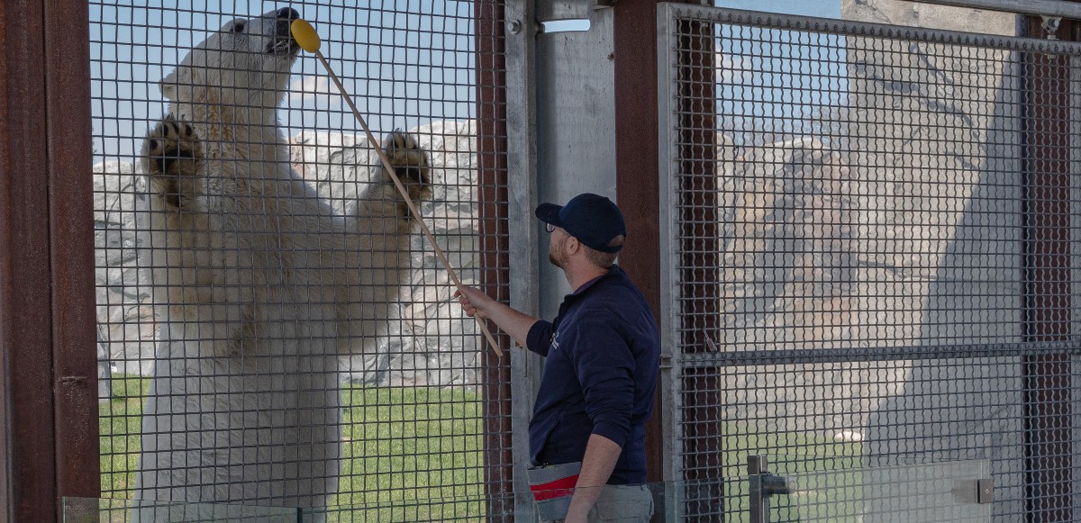 Marine mammals in zoos and aquariums now live 2-3 times longer than in ...