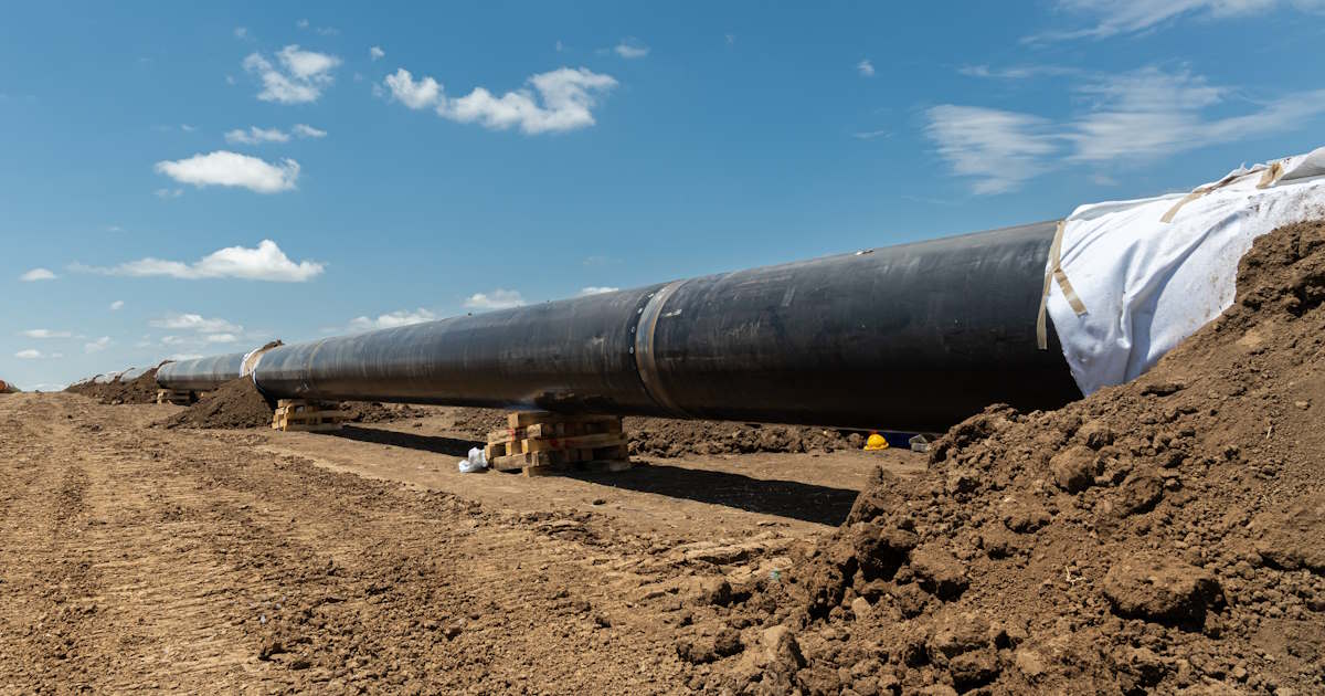 Microbes Feed on Iron: New Study Reveals How They Do It