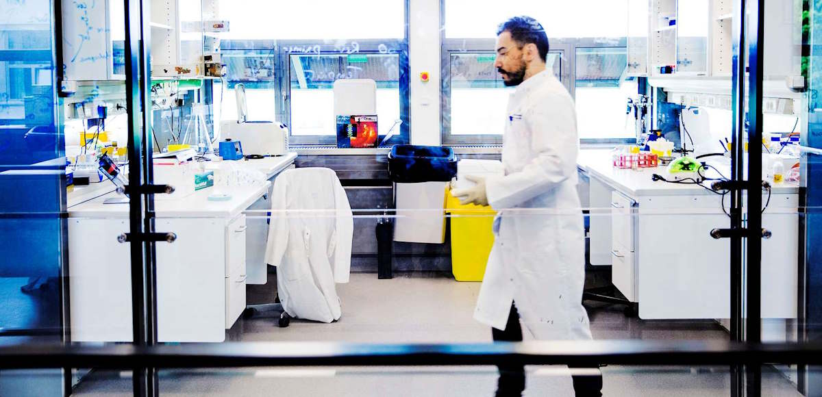 "Superman" Bacteria Offer a Sustainable Boost to Chemical Production