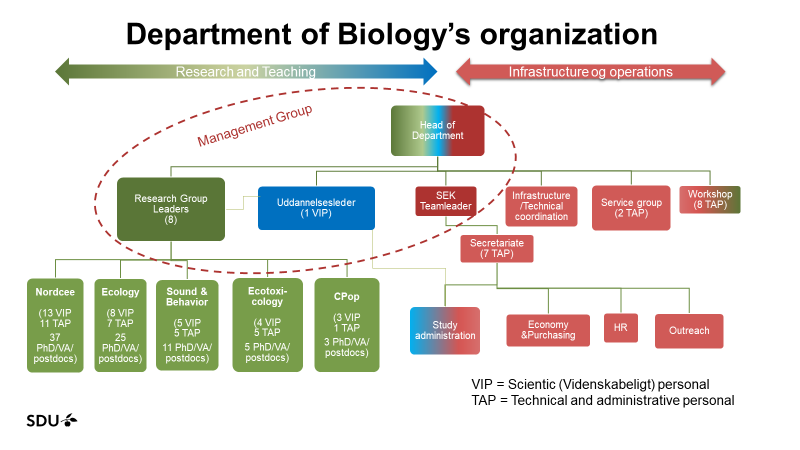 Department of Biology