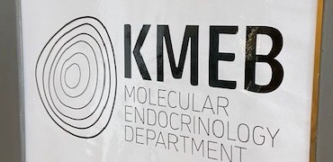 KMEB - SDU